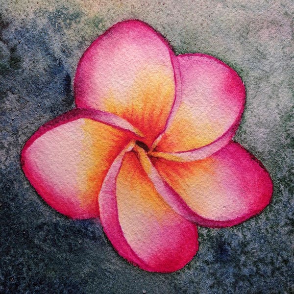 Frangipani Painting - Etsy