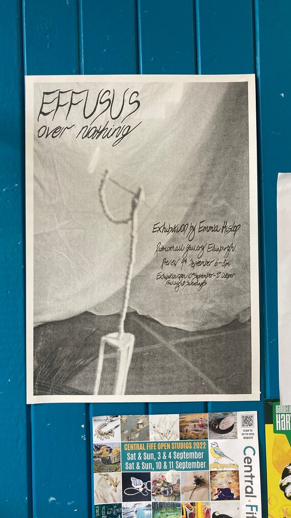 A3 Exhibition Poster: Effusus Over Nothing by Emma Hislop - Etsy