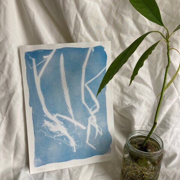 Cyanotype - Etsy UK