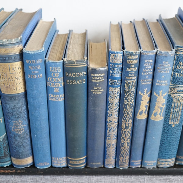 Blue Books - Etsy