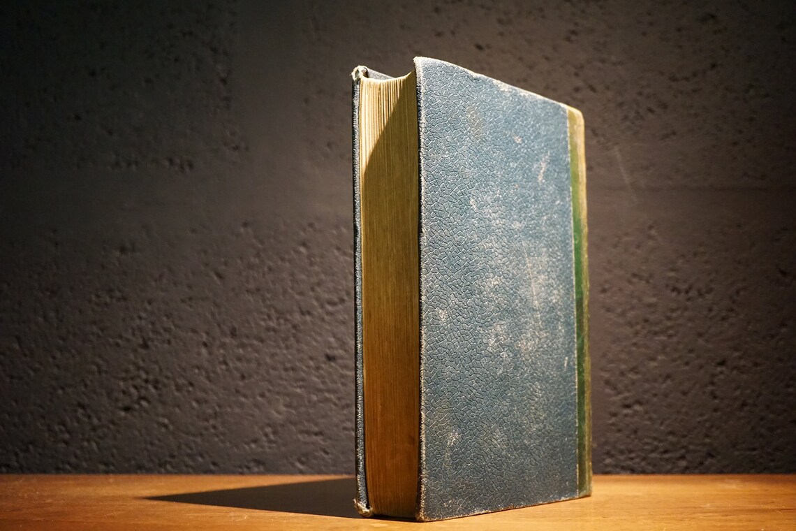 The Dauphin louis XVII the Riddle of the Temple by G. - Etsy UK