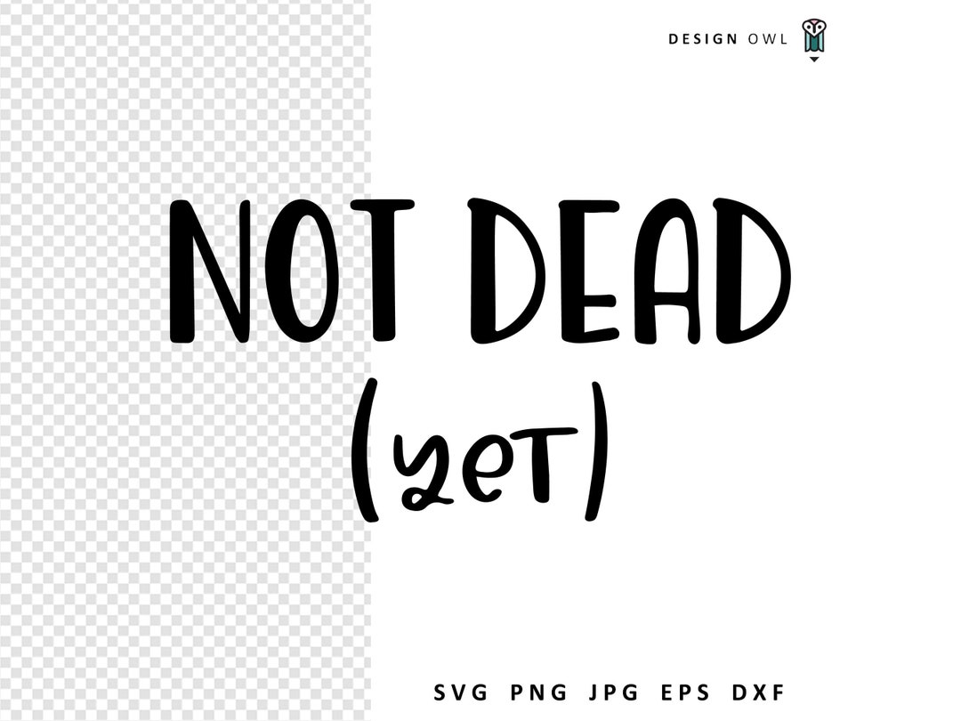 Not Dead yet SVG: Funny Planter Cut File (digital Download) - Etsy