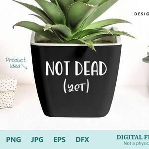 Plant Pot Sayings SVG Bundle Digital Download Funny - Etsy