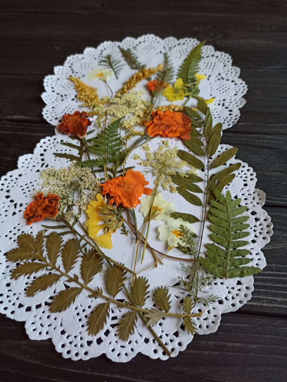 Pressed Flower Flowers for Crafts Pressed Flower Art - Etsy