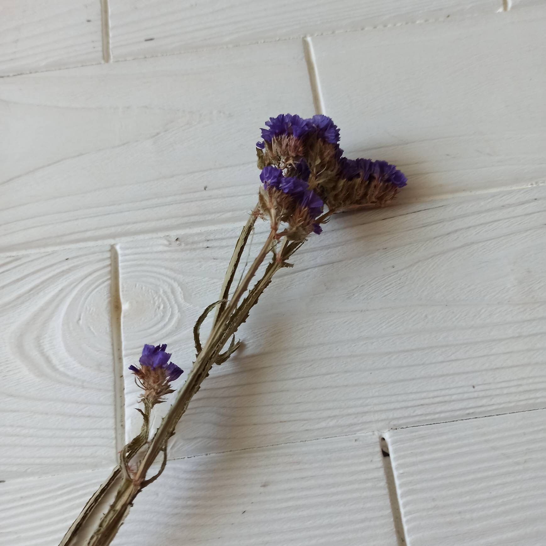 Purple Dried Staticepurple Dried Flowers Bouquetviolet Dried - Etsy