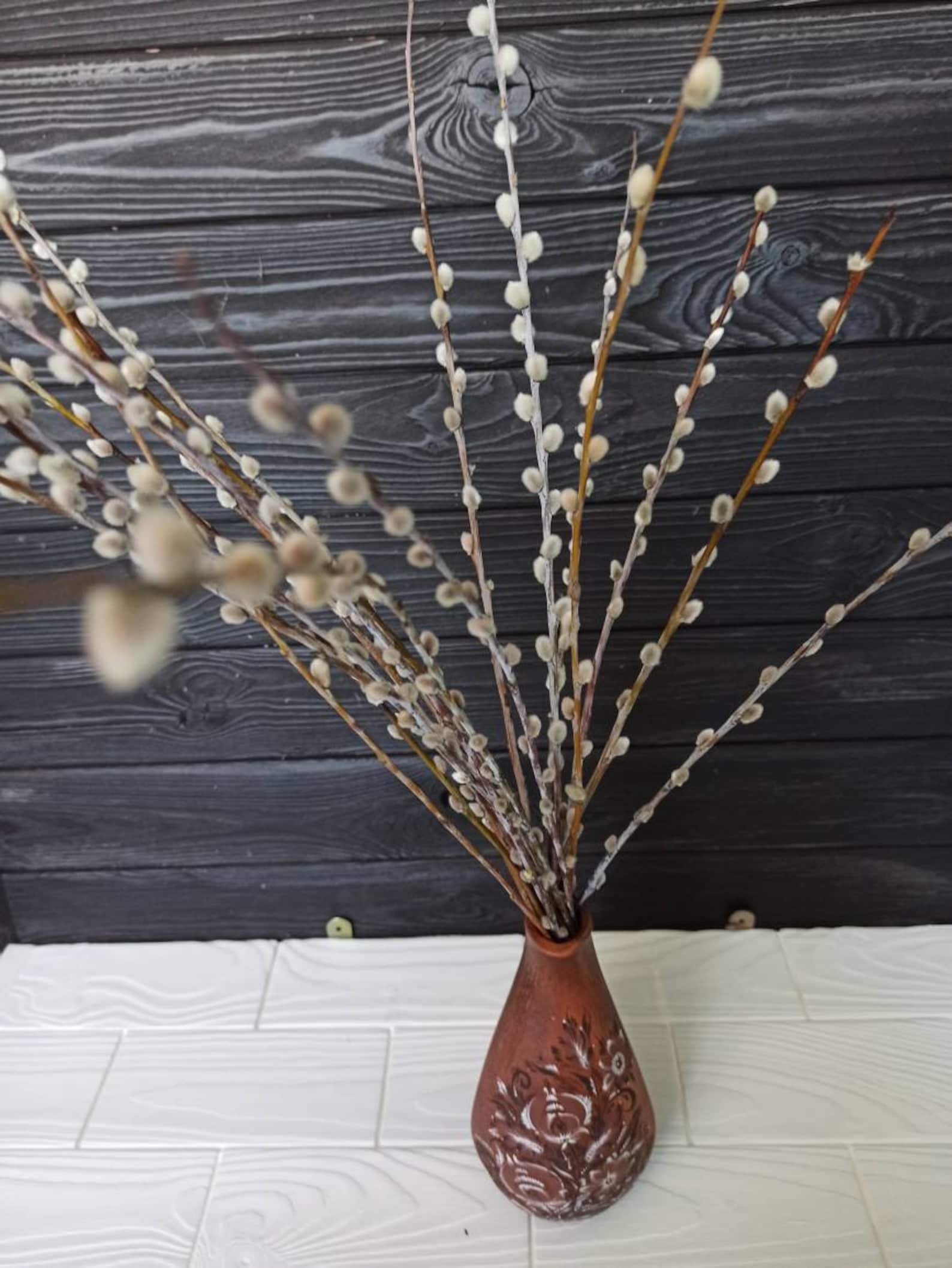 20 Dried Pussy Willow Branches.twigs Catkins,spring Decor.dried Wedding ...