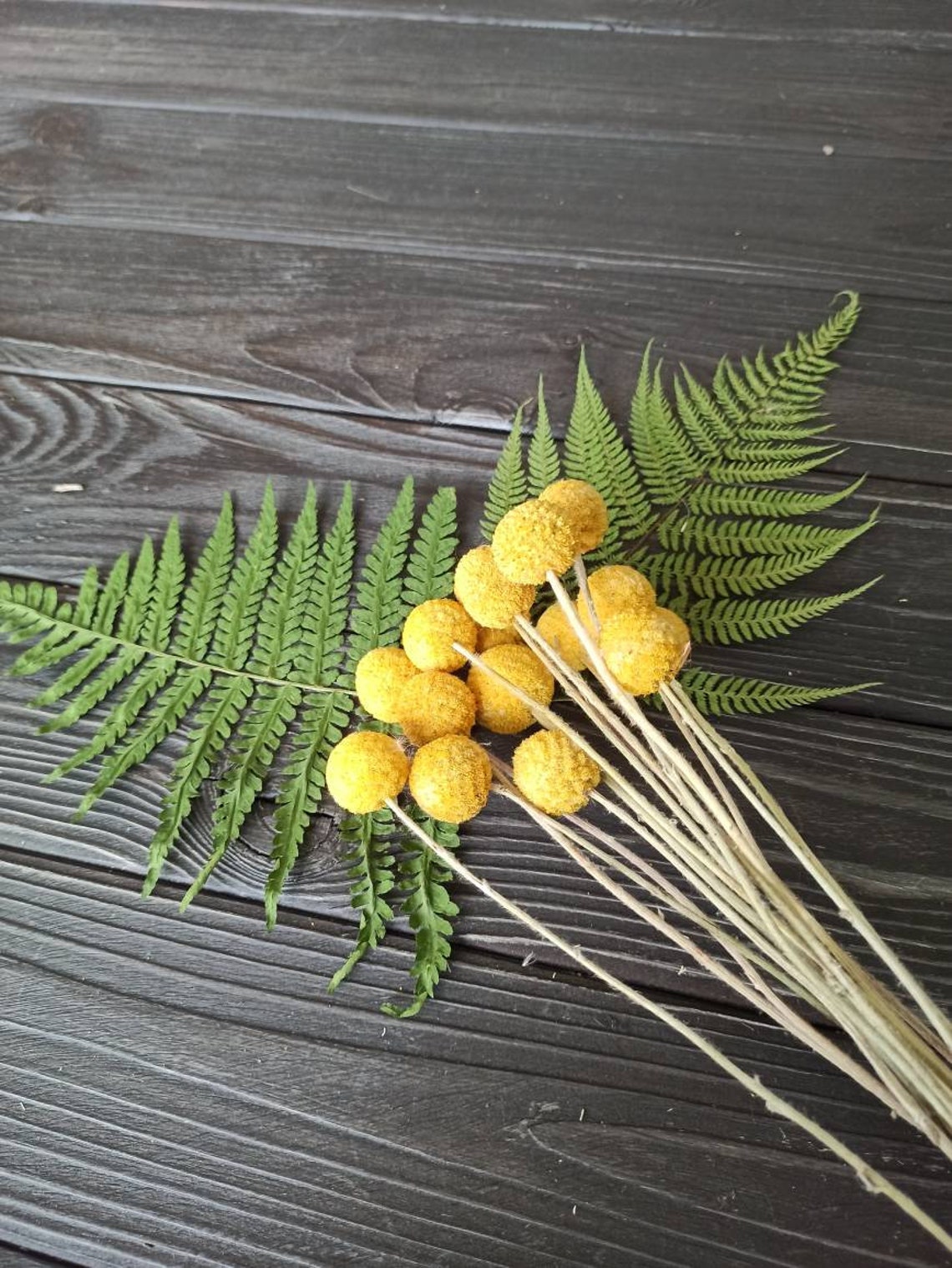 20 Yellow Dried Craspedia Stems, Billy Buttons Bunch - Etsy