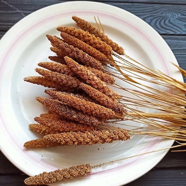 Millet - Etsy
