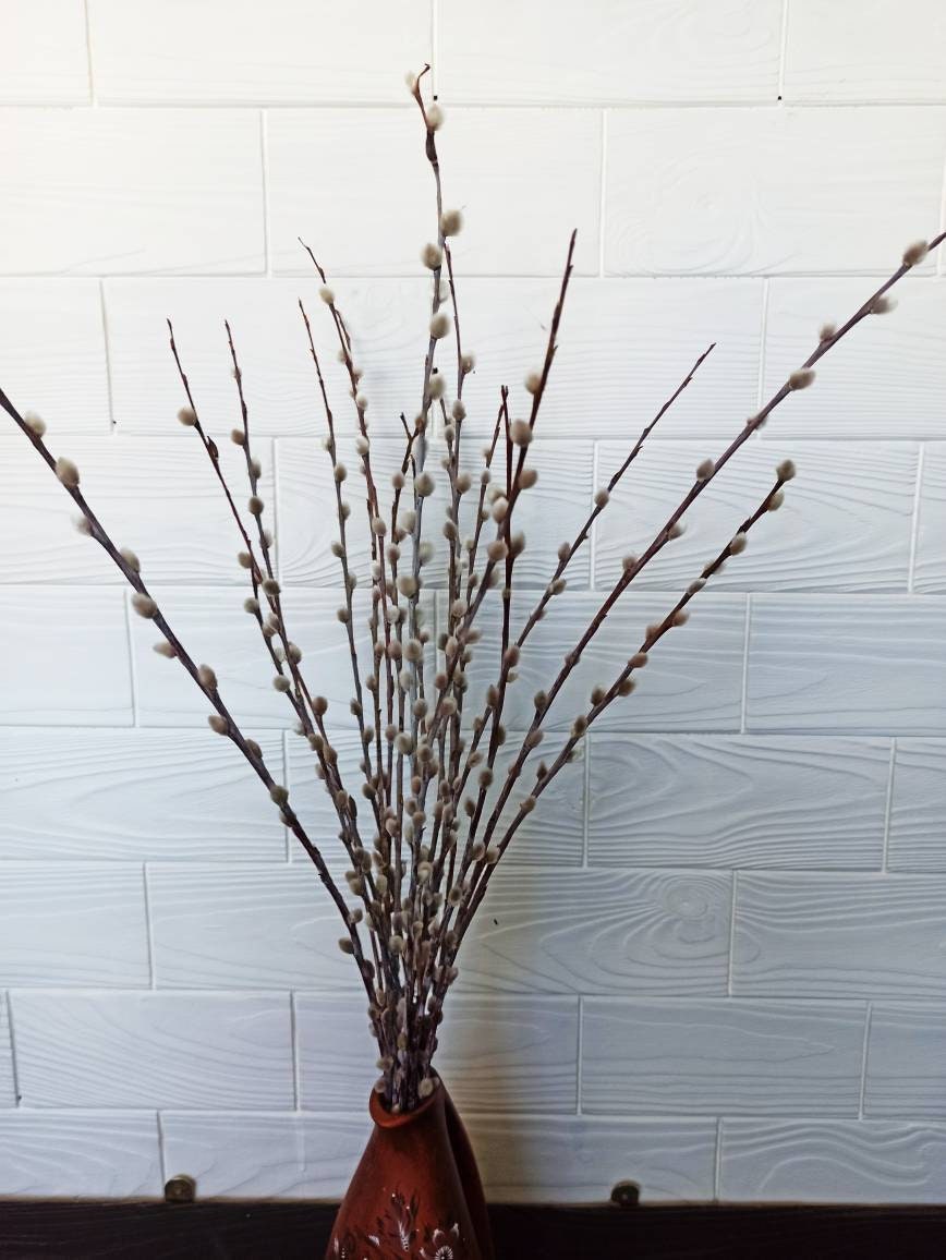20 Dried Pussy Willow Branches.twigs Catkins,spring Decor.dried Wedding ...