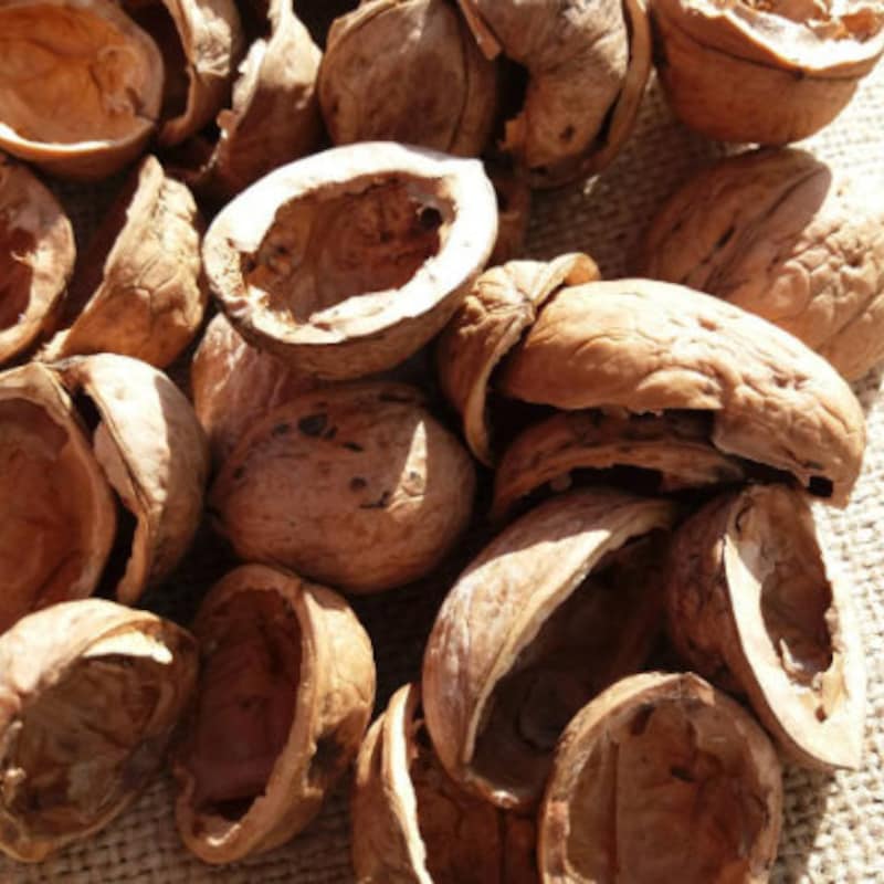 Walnut Shells - Etsy