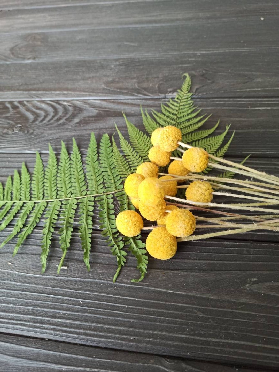 20 Yellow Dried Craspedia Stems, Billy Buttons Bunch - Etsy