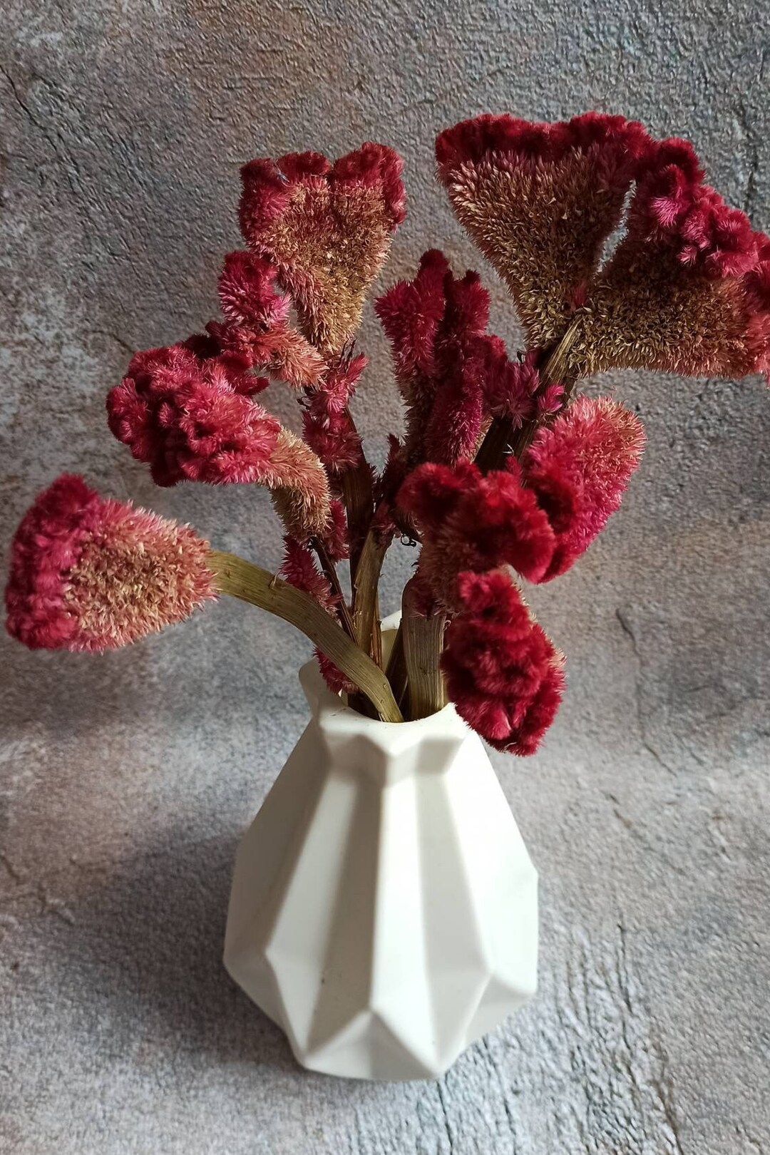 10 Dried Celosia,dried Celosia Cockscomb Burgundy,bunch of Rose Pink ...