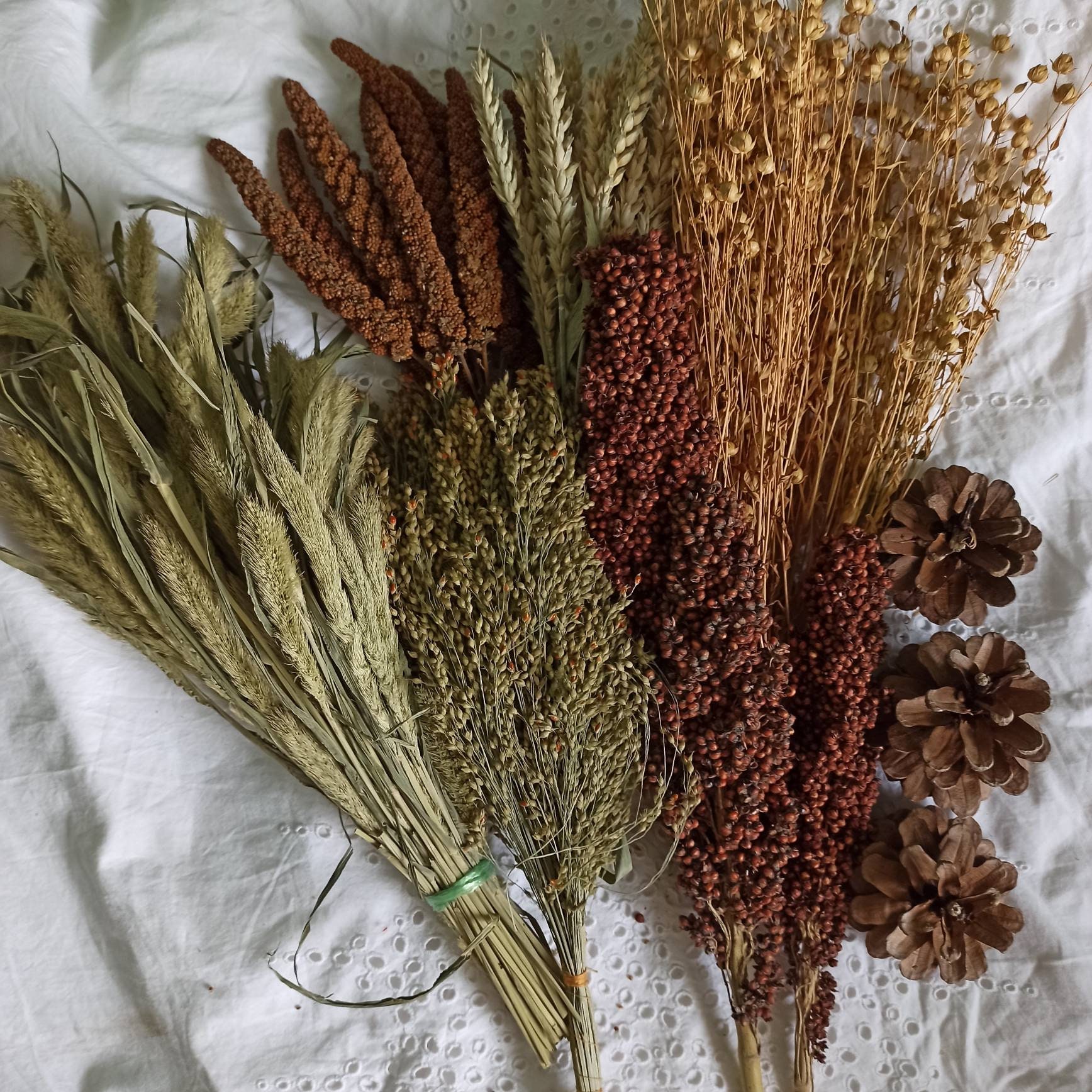 Organic Hamster Sprays - Etsy