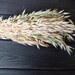 Organic Oat Spray Hamster Sprays - Etsy