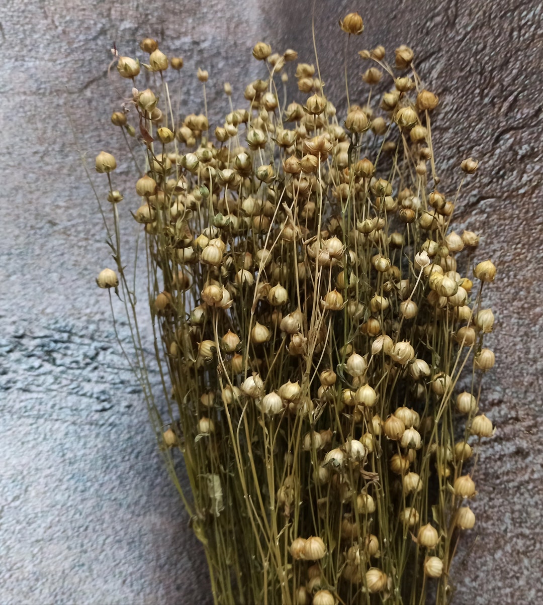 Organic Flax Spray,flax,hamster Spray - Etsy