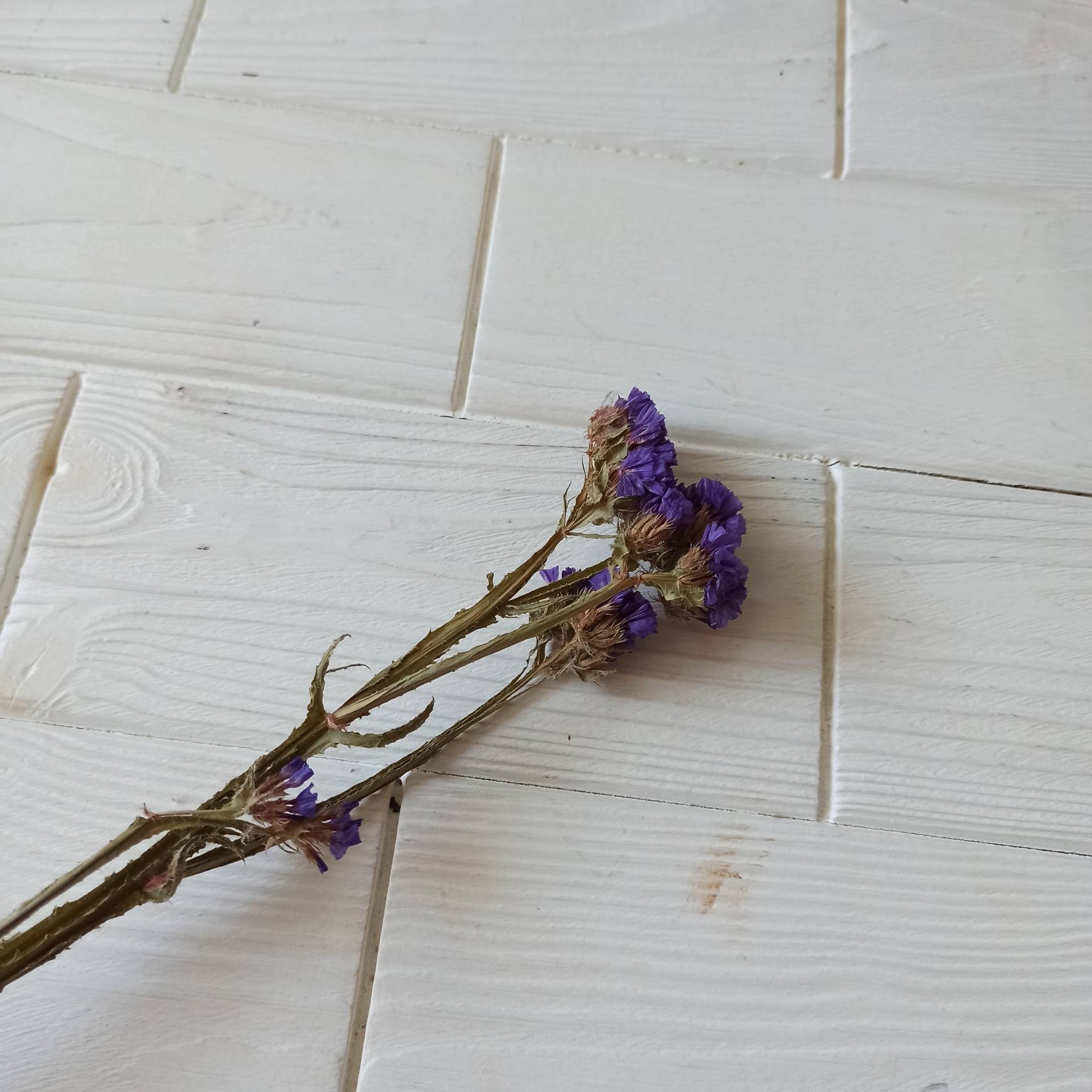 Purple Dried Staticepurple Dried Flowers Bouquetviolet Dried - Etsy
