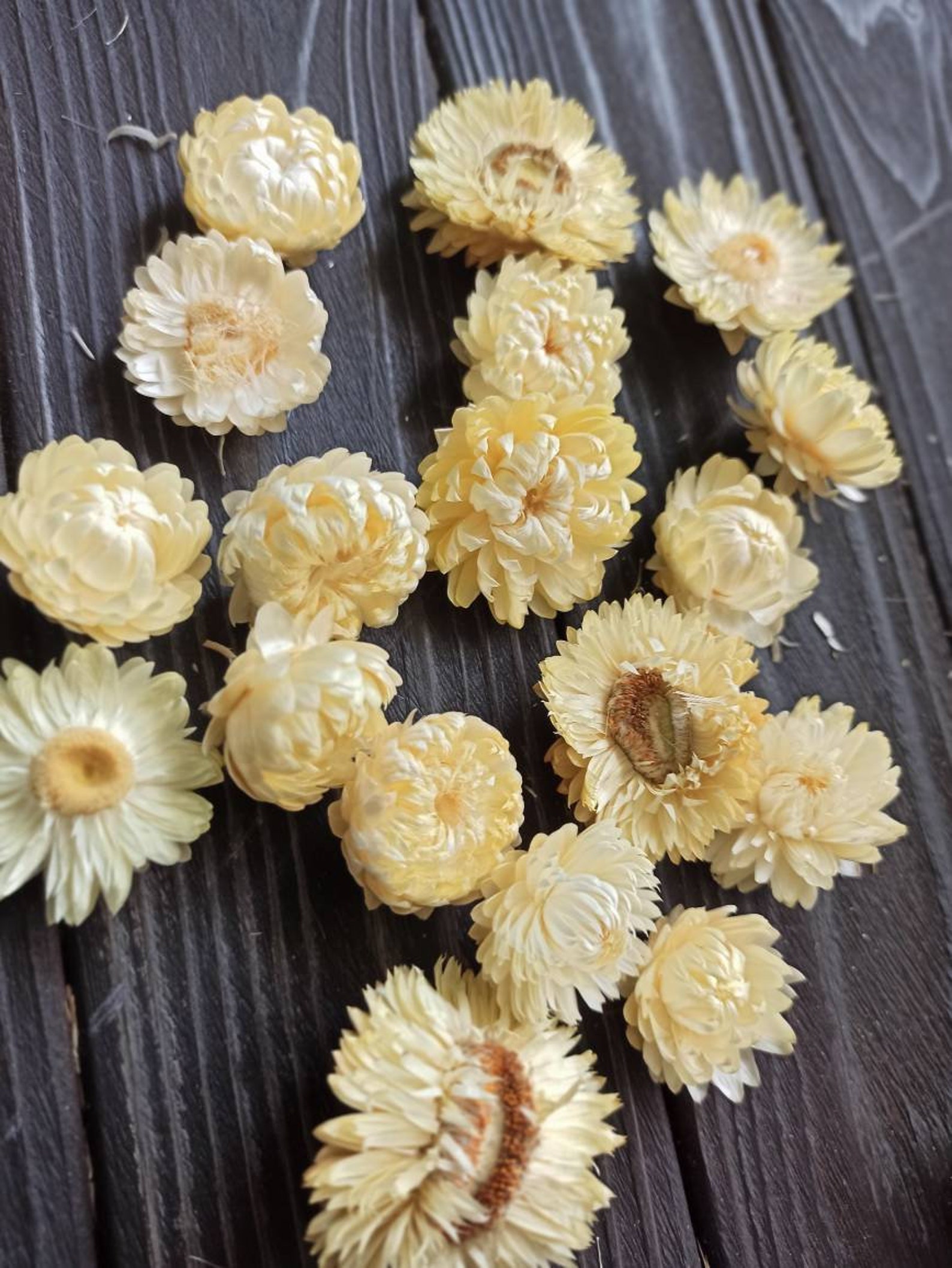 Dried Strawflower Heads,dried White Flowers,dry Flowers,strawflowers ...