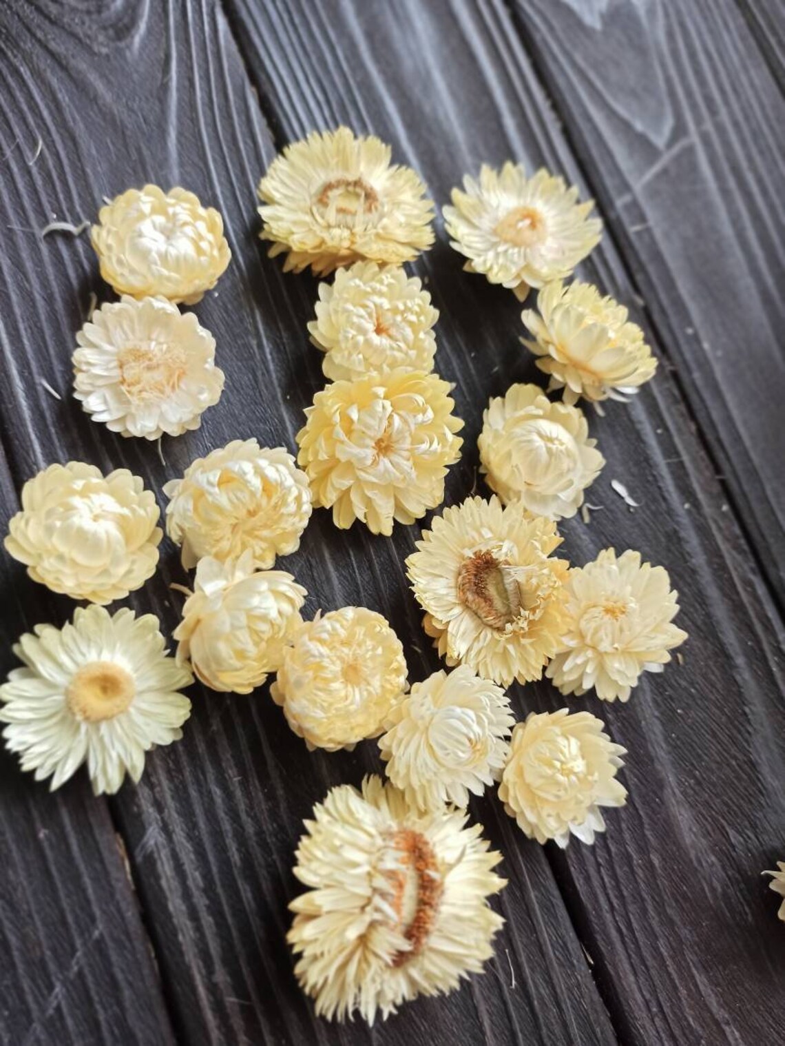 Dried Strawflower Heads,dried White Flowers,dry Flowers,strawflowers ...