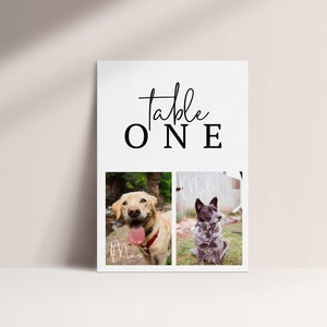 ASCOT | Modern Wedding Dog Photo Table Numbers Template, Reception ...