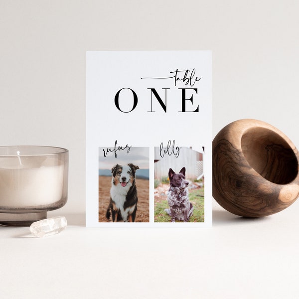 Dog Table Wedding Numbers - Etsy