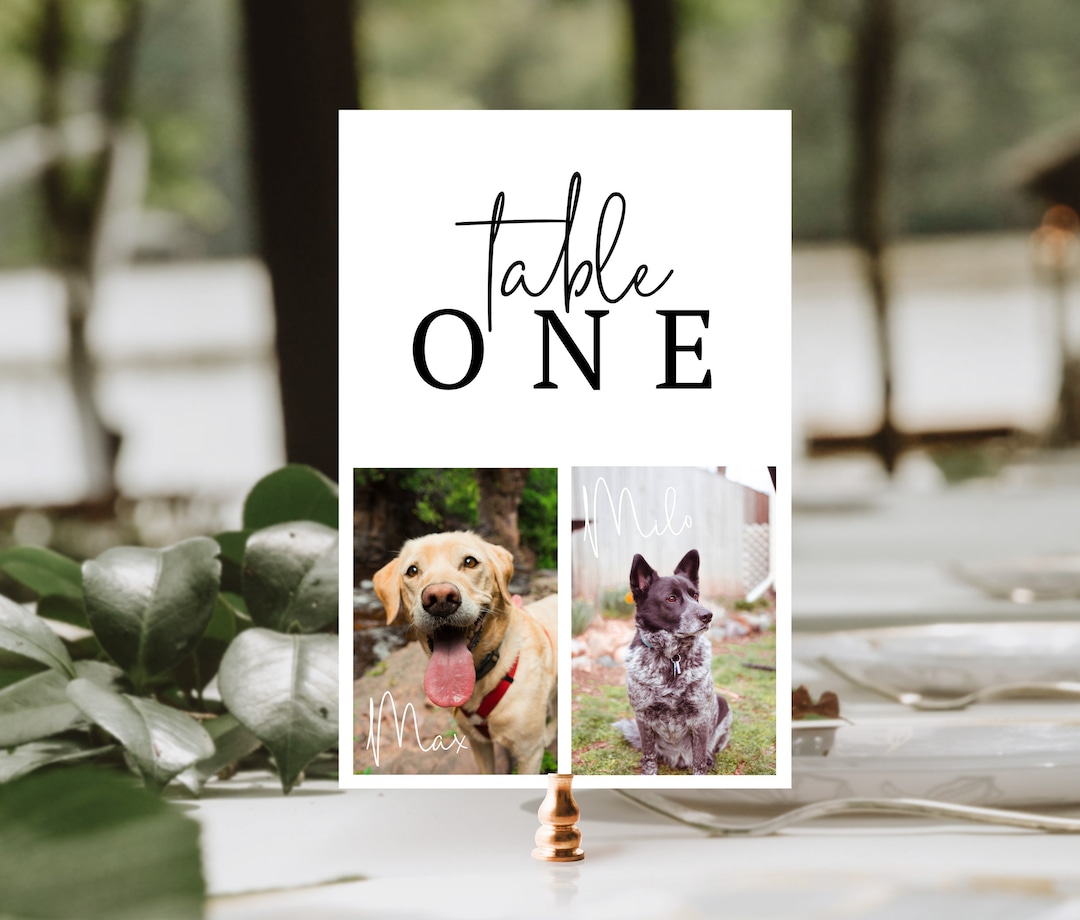 ASCOT | Modern Wedding Dog Photo Table Numbers Template, Reception ...