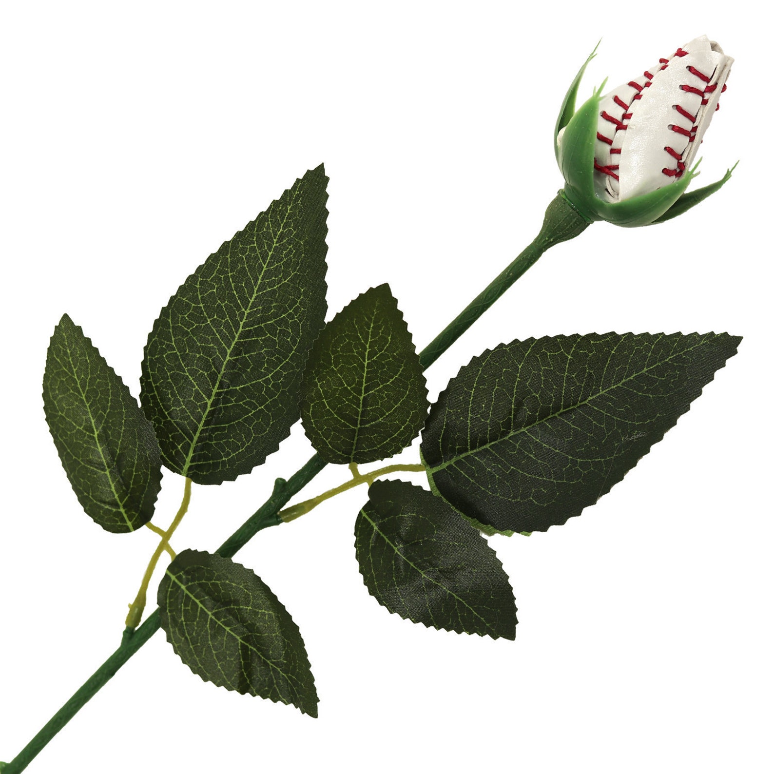 Basketball Roses Sports Rose Football Rose Baseball Soccer Volleyball ...