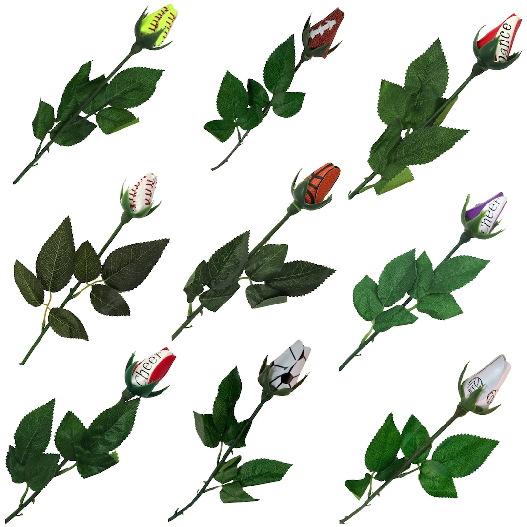Sports Roses Volleyball Rose Basketball Rose Cheer Rose Soccer Rose ...