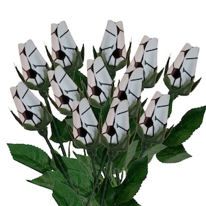 Soccer Roses, Sports Rose, Football, Basebal,l Volleyball, Basketball ...