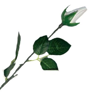 Soccer Roses, Sports Rose, Football, Basebal,l Volleyball, Basketball ...