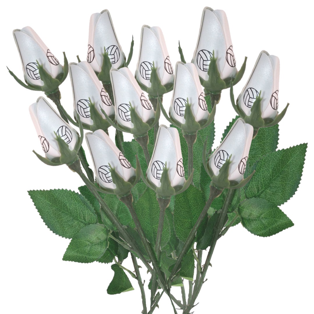 Volleyball Roses Sports Rose Football Rose Baseball Soccer Basketball ...