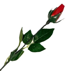 Baseball Roses, Sports Rose, Football, Soccer, Volleyball, Basketball ...