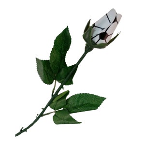 Baseball Roses, Sports Rose, Football, Soccer, Volleyball, Basketball ...