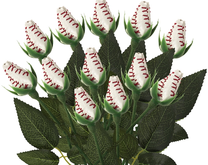 Baseball Sport Bud Roses - Etsy