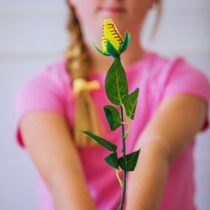 Softball Roses, Sports Rose, Basketball Baseball Soccer Volleyball ...