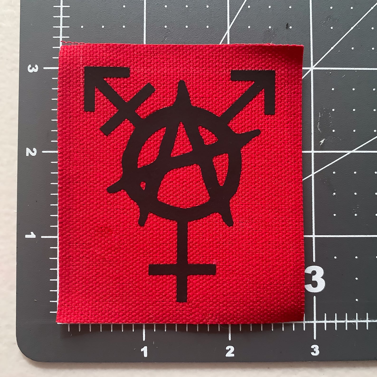 Trans Anarchy Punk Patch | Etsy