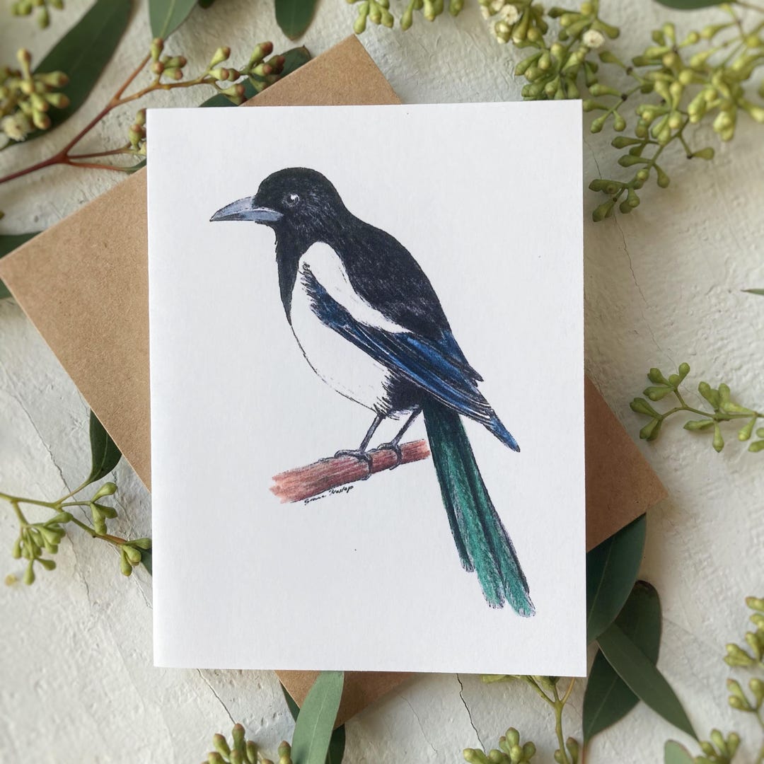 Black Billed Magpie | Bird Card | Blank Card | Magpie Art | Greeting ...
