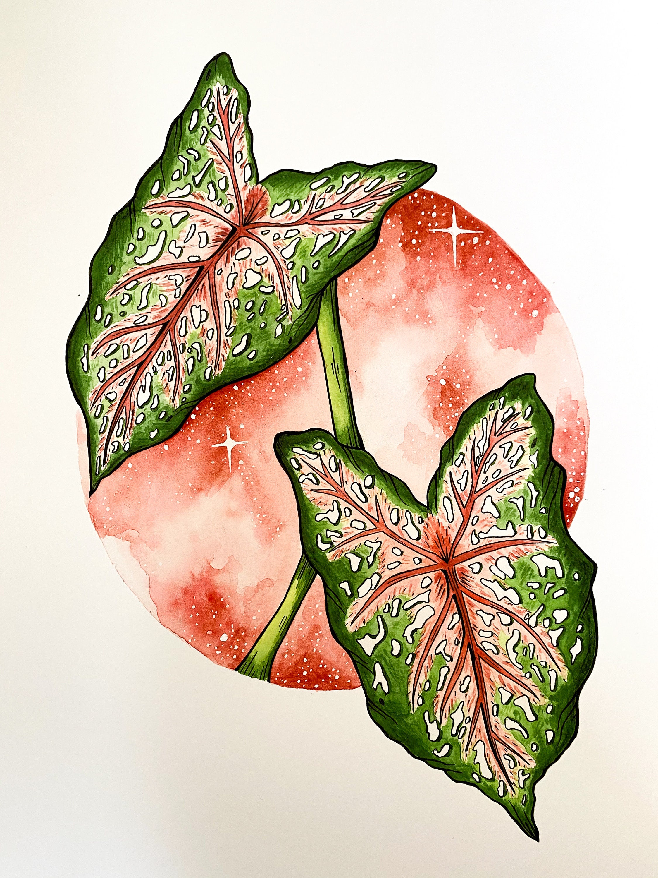 THE CALADIUM MOON Print Watercolour Print Caladium Print Plant Wall Art ...