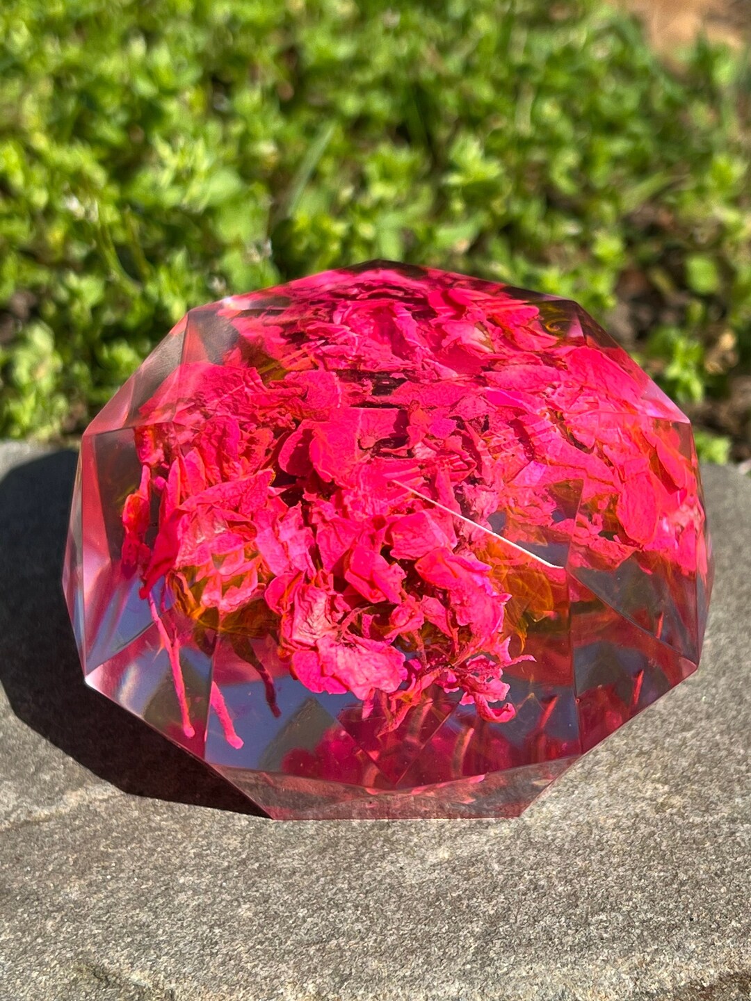Preserved Pink Flower Resin Paperweight: Earthy Home Decor - Etsy