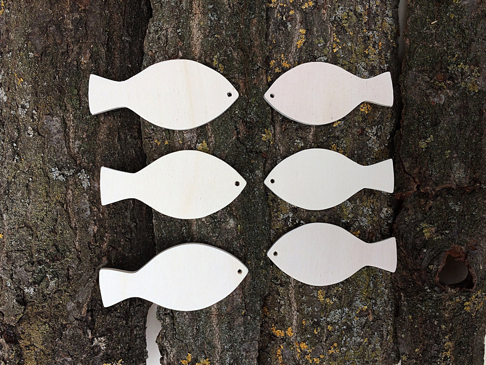 6 Pcs Fish Cutout of Wood Fish Cut Out Fish Wood Fish Party | Etsy