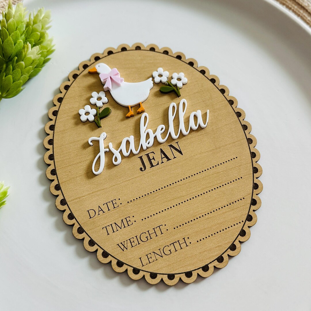 Silly Goose Personalized Baby Birth Stats | Goose Nursery Decor With ...