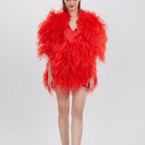 Jenny Red Ostrich Feathers Mini Dress,ball Gown Wedding Dress,plus Size ...
