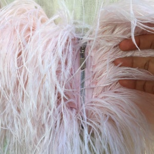 Gina Pale Pink Feather Top ,feather Top ,feather Prom Top ,feather ...