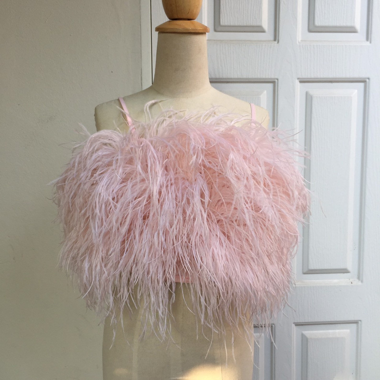 Gina Pale Pink Feather Top ,feather Top ,feather Prom Top ,feather ...