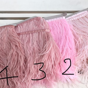 Gina Pale Pink Feather Top ,feather Top ,feather Prom Top ,feather ...