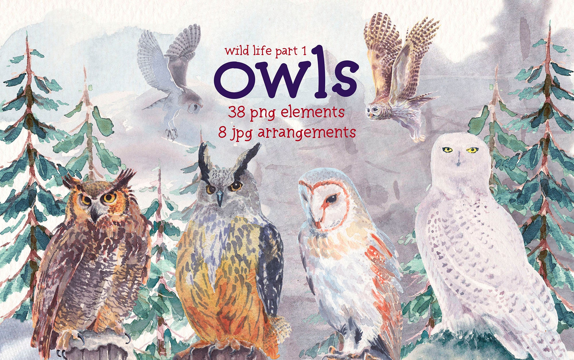 Watercolor Owl Clipart Set - Etsy