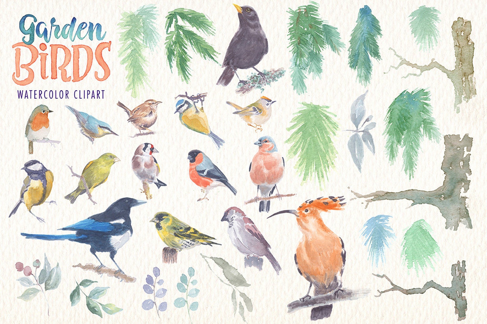 Garden Birds Watercolor Clipart Set - Etsy