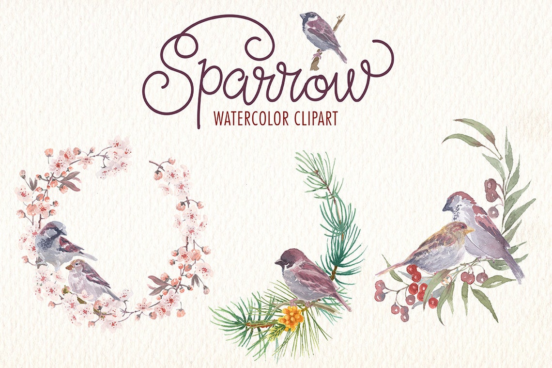 Watercolor Sparrow Bird PNG Clipart Watercolor Clip Art Ideal Printable ...