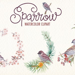 Watercolor Sparrow Bird PNG Clipart Watercolor Clip Art Ideal Printable ...