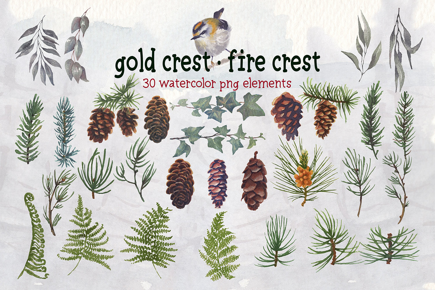 Gold Crest Fire Crest Watercolor Birds Clipart - Etsy