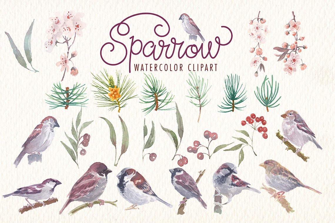 Watercolor Sparrow Bird PNG Clipart Watercolor Clip Art Ideal Printable ...